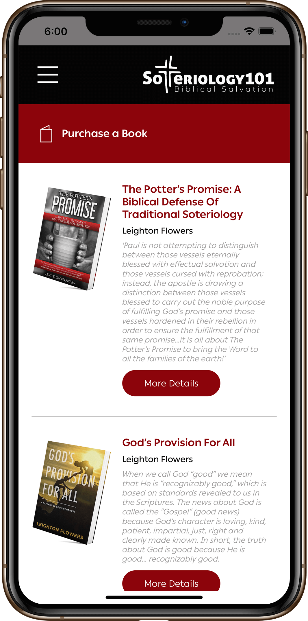 Soteriology 101 – Ridgemax Solutions